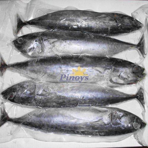 Bullet tuna, tulingan 5/6 1 kg - Asian Pearl :: Pinoys.eu